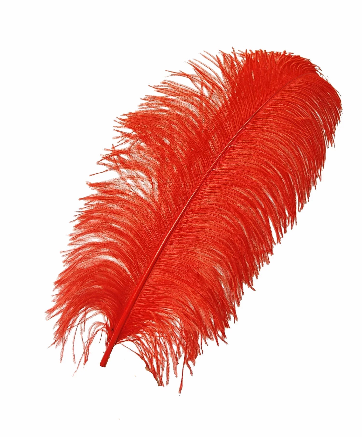Shop Our Feathers for Sale Collection Unlock Your Creativity – hot fans