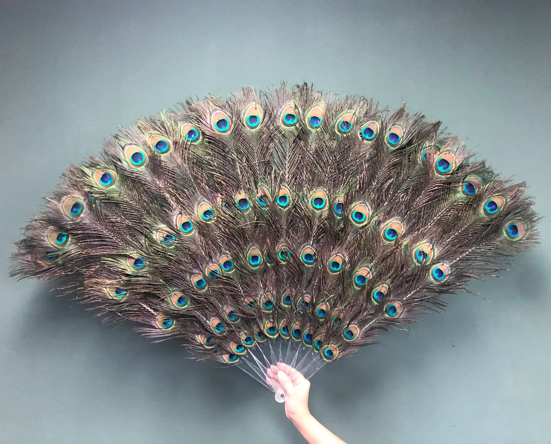 Add a Touch of Opulence ,Stunning Peacock Feather Fans for Sale Online ...