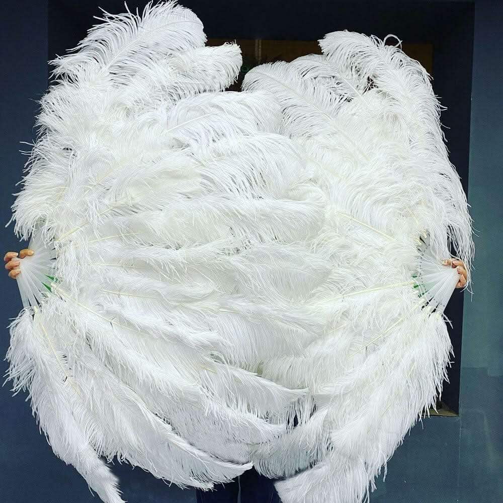 Luxury Feather Fans & Custom Ostrich Feather Fans – Hot-Fans Official ...